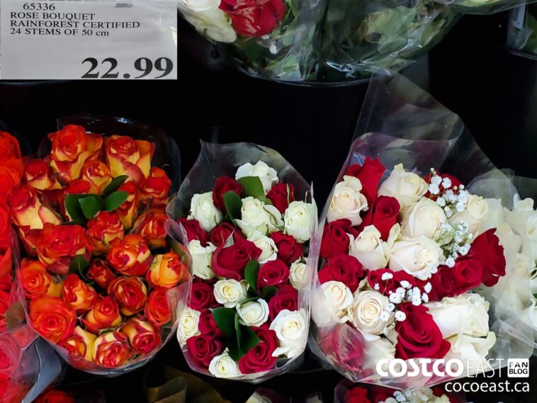 65336 ROSE BOUQUET RAINFOREST CERTIFIED 24 STEMS OF 50 CM 22 99 ...