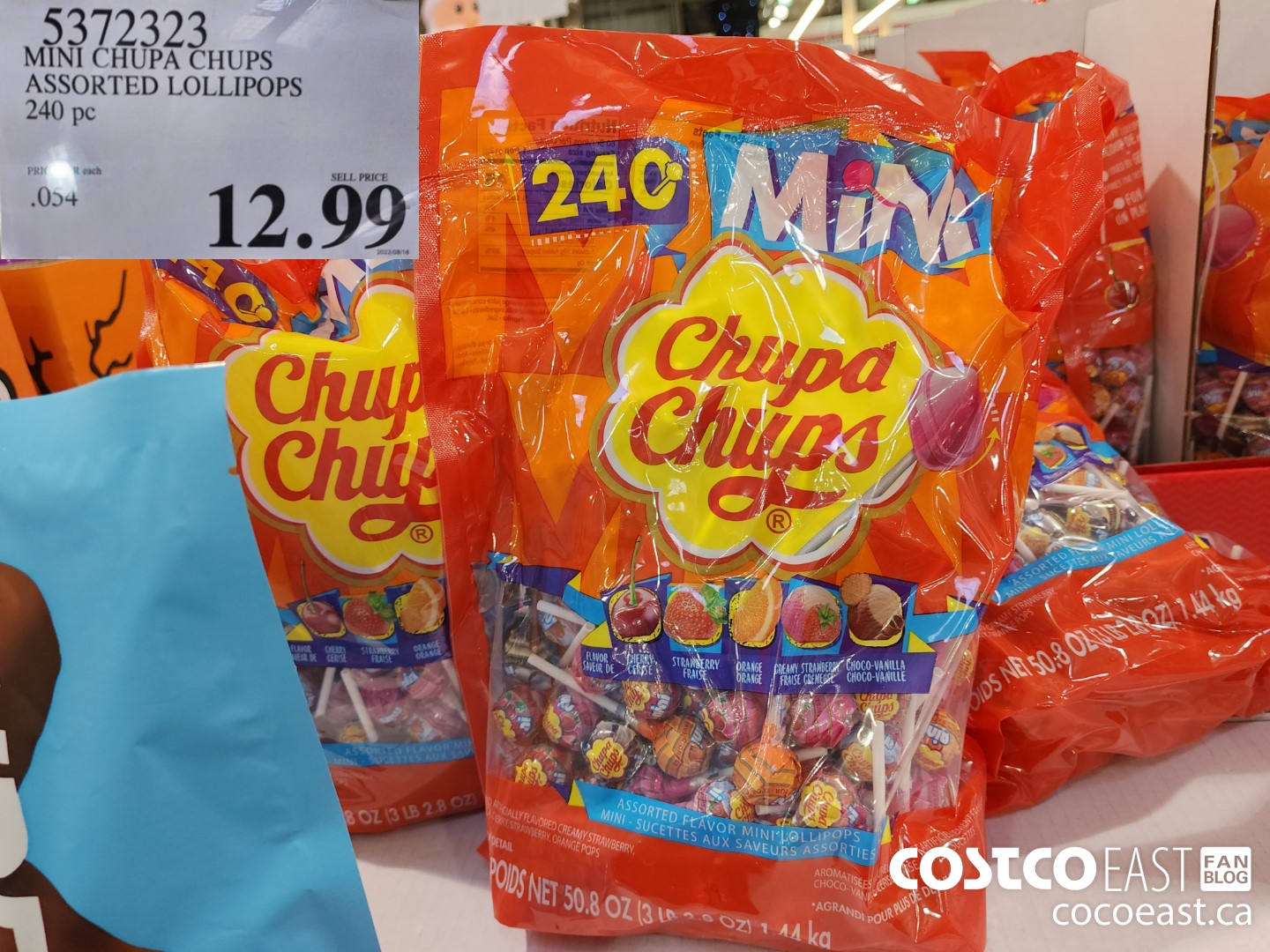 5372323 MINI CHUPA CHUPS ASSORTED LOLLIPOPS 240 PC 12 99 - Costco East ...