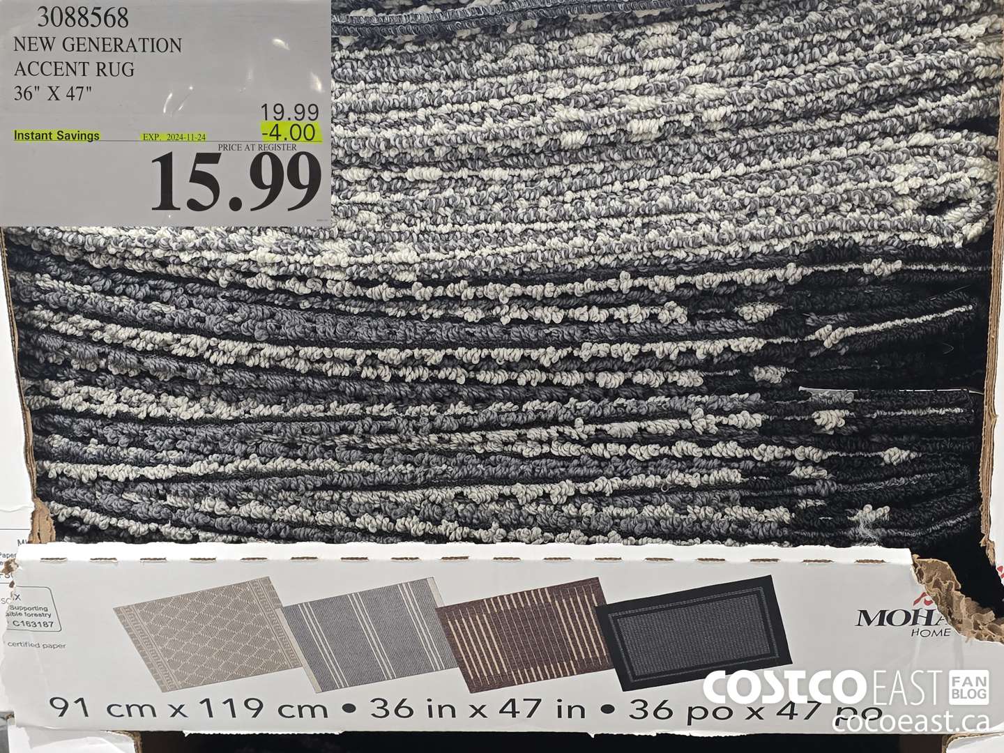 3088568 NEW GENERATION ACCENT RUG 36 X 47 4 00 INSTANT SAVINGS EXPIRES ...