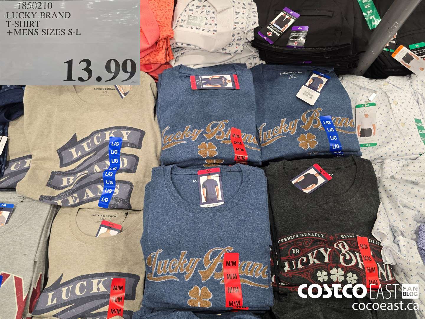 1850210 LUCKY BRAND T SHIRT MENS SIZES S L 13 99 - Costco East Fan Blog